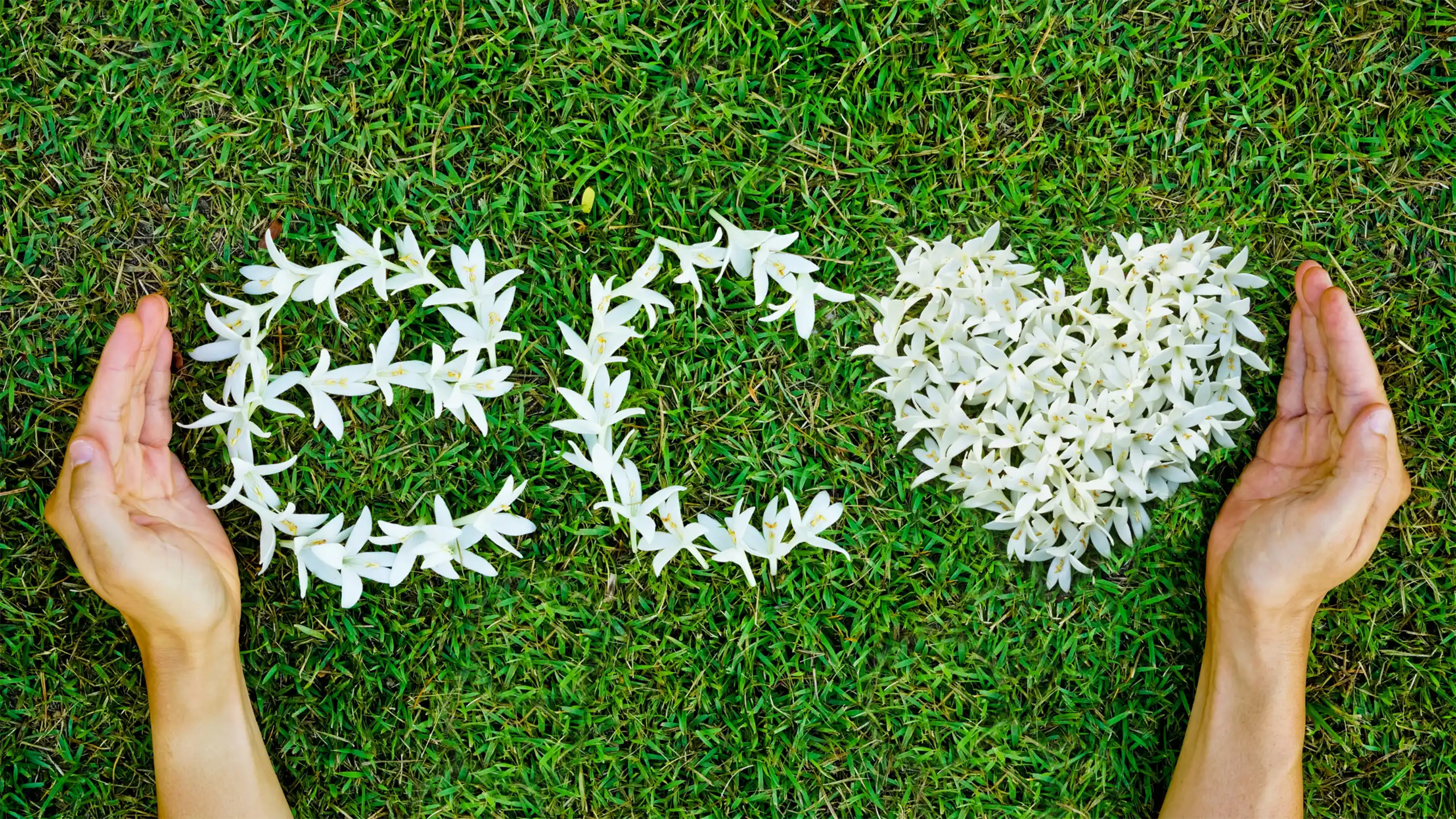 EARTH DAY! Behind the Scenes: How Ecoboard Signage is Made | Mesh Direct